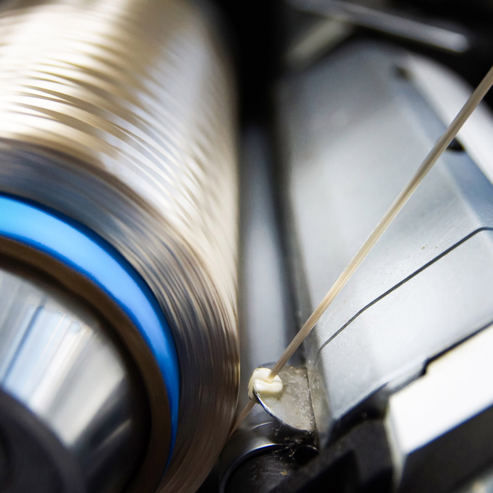 seta di ragno | Fabrizio Fava